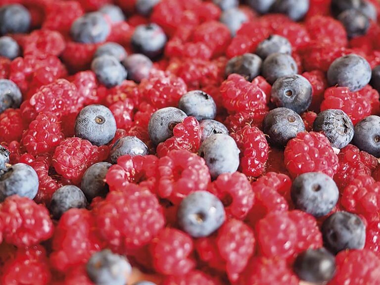 Diseñan un disolvente para obtener compuestos beneficiosos de los ...