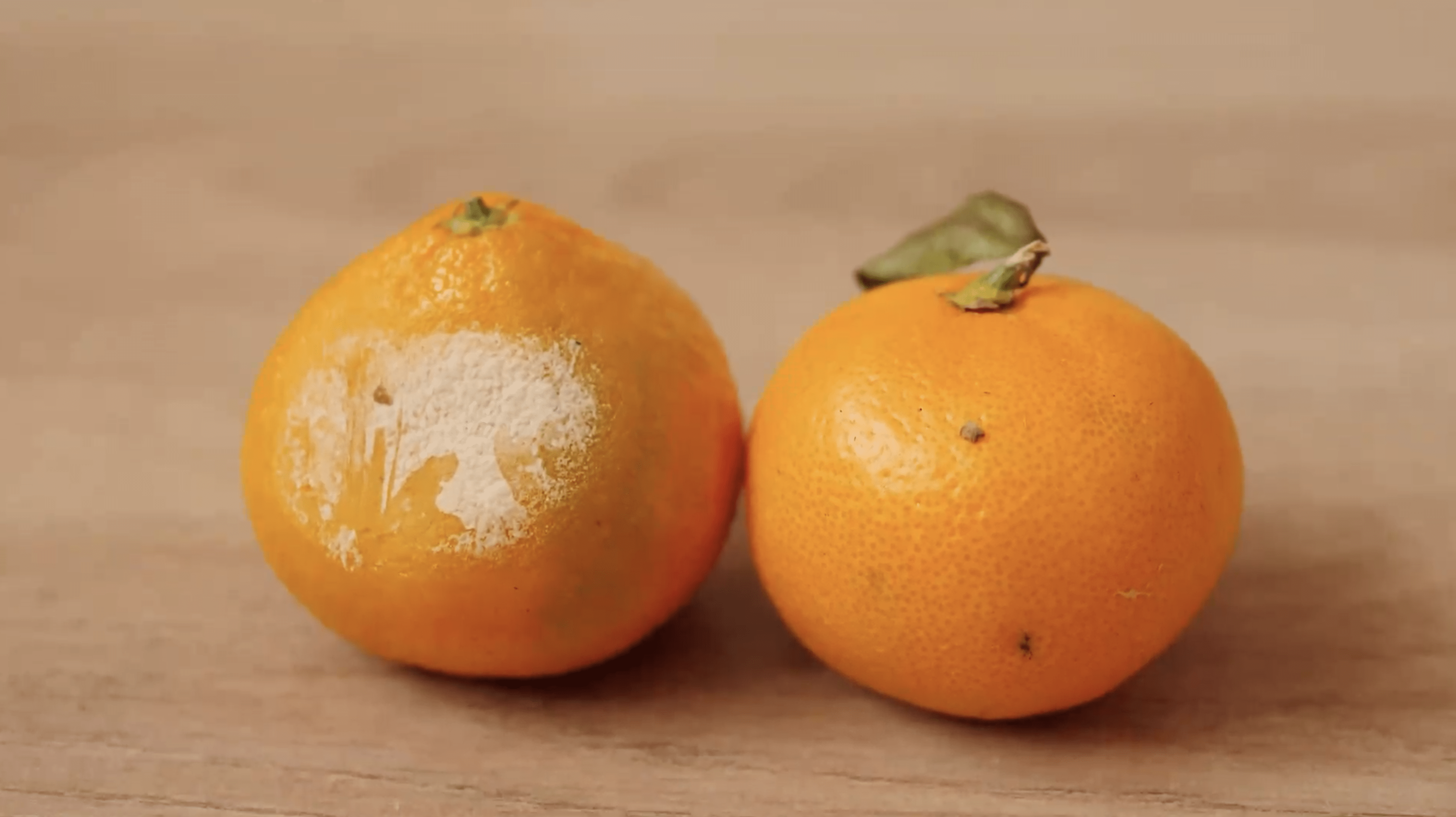 Citrosol contra el desperdicio alimentario