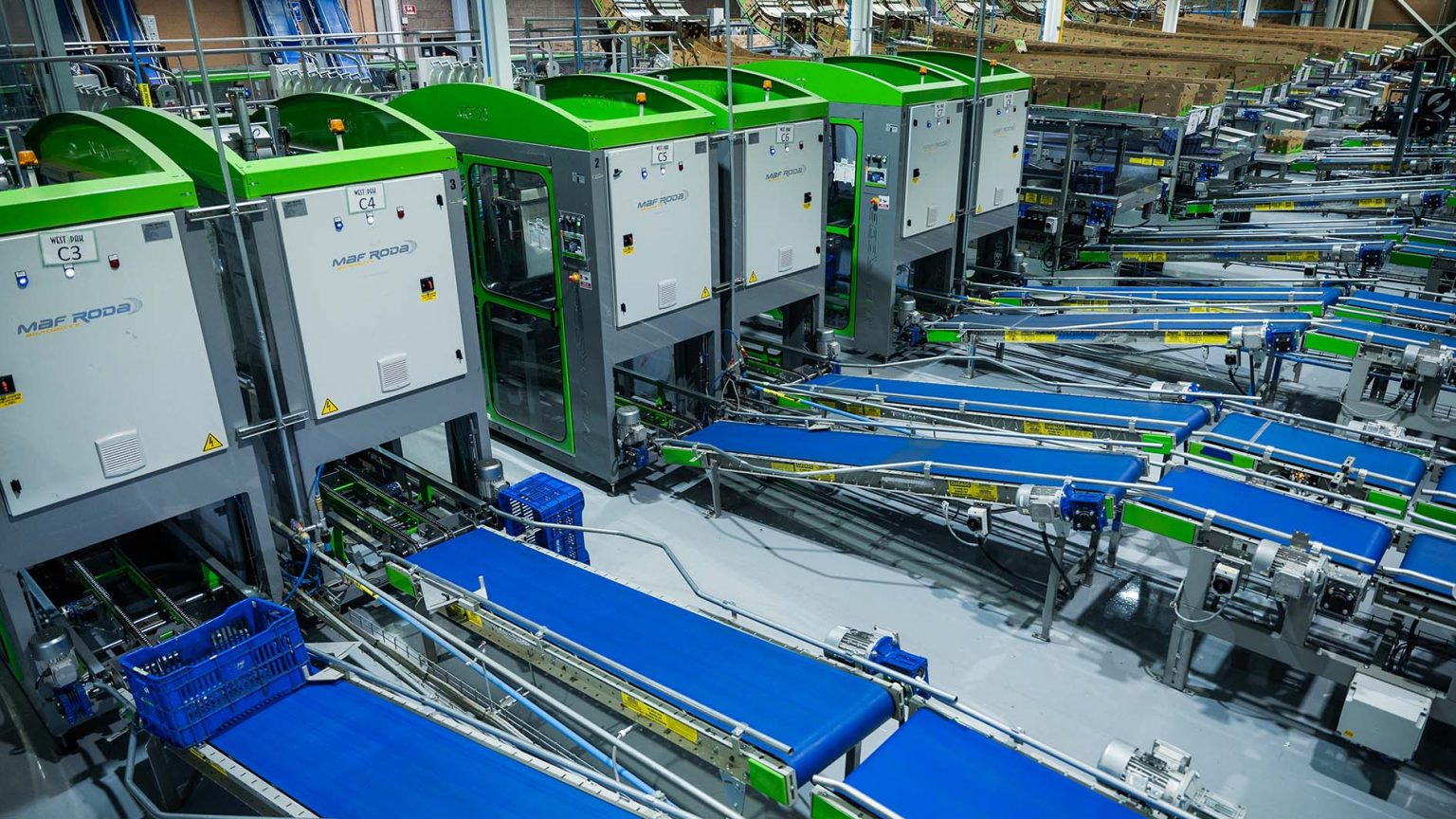 Maf Roda presenta su tecnología postcosecha con IA y robótica en Fruit ...