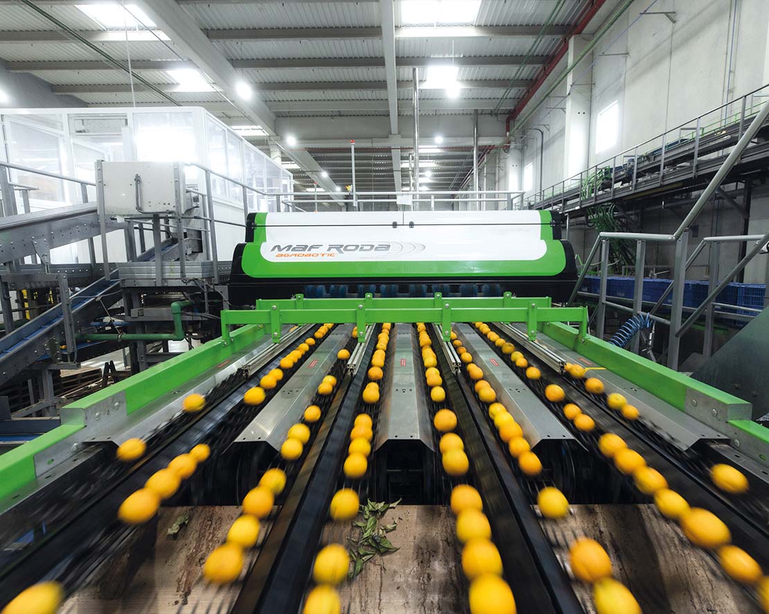 La IA de Maf Roda Agrobotic como herramienta para maximizar la ...
