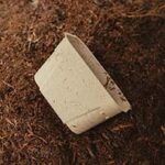 FD22-02_3134 - Valencia Fruits