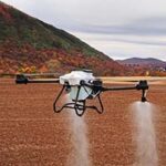 FD22-03_3134 - Valencia Fruits