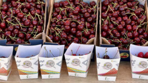 Jaén prevé 700.000 kilos de cereza con mejores perspectivas que años ...
